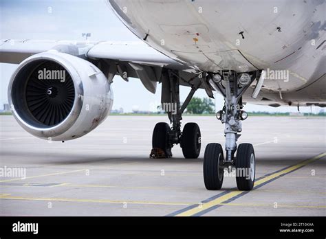 Image result for Fly Front View