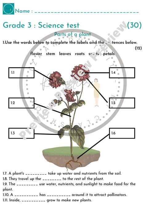 Image result for 3rd Grade Science Practice Test