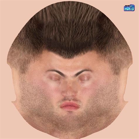 Image result for Face Texture Map