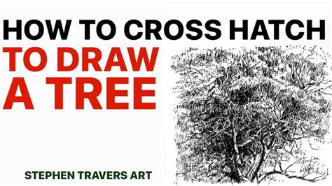Image result for How to Draw a Tree in Hatching