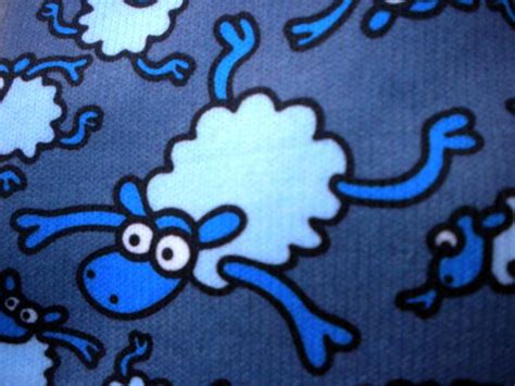 Image result for Kickapoo Definition