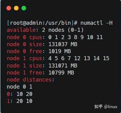 Image result for Numa Python
