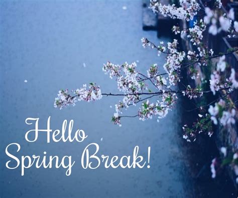Image result for Hello Spring Break