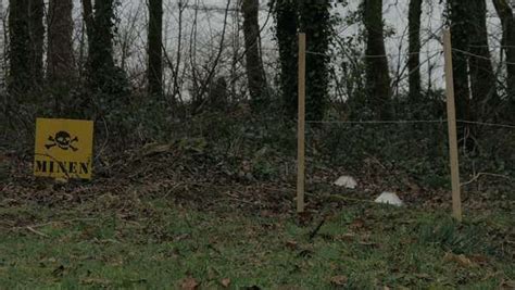 Image result for Python WW2 Minefield