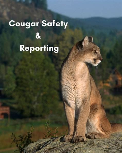 Image result for Salt Spring Island Conservancy