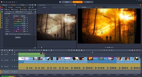 Image result for Pinnacle Studio Color Grading