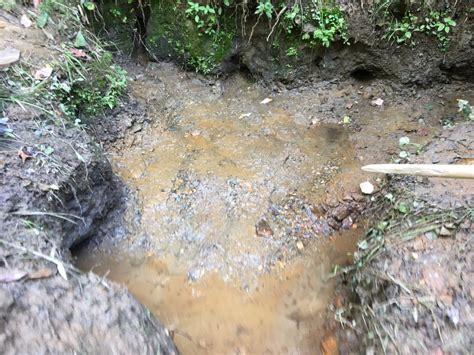 Image result for Spring Head Collection System