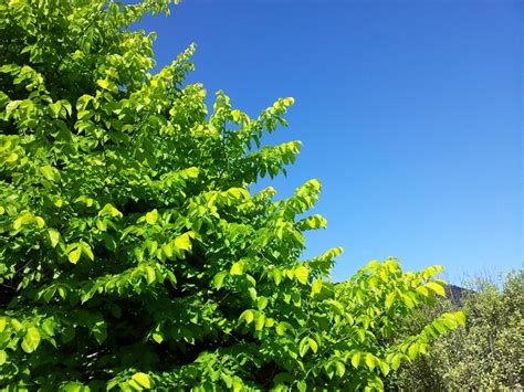 Image result for Samsung Galaxy Note Tutorial Video