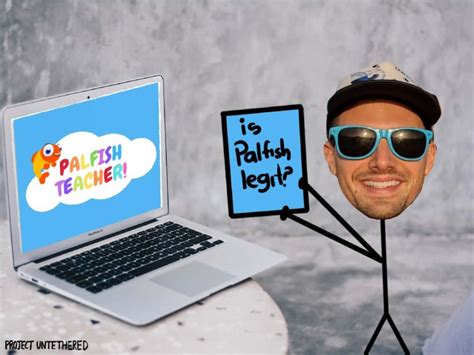 Image result for Palfish Introduction Example