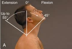 Image result for Neck Rotation Clockwise ROM