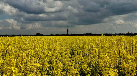 Image result for Short Ethics Clips