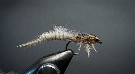 Image result for Green Drake Nymph Patterns