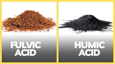Image result for Humic Acid Sem