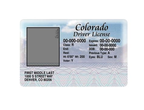 Image result for How to Find Drivers License