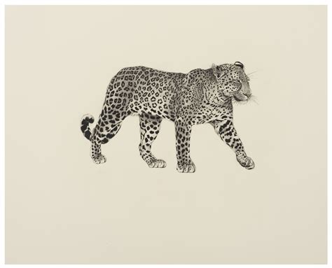 Image result for Snow Leopard Side View