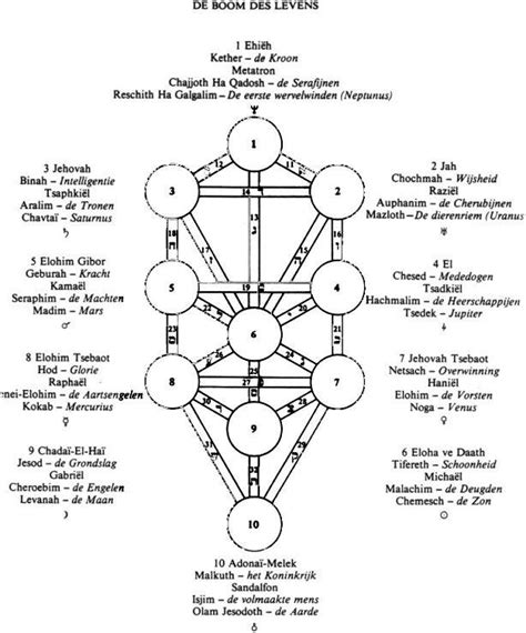 Image result for Zohan Life Tree