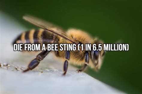 Image result for Unpredictable Outcomes