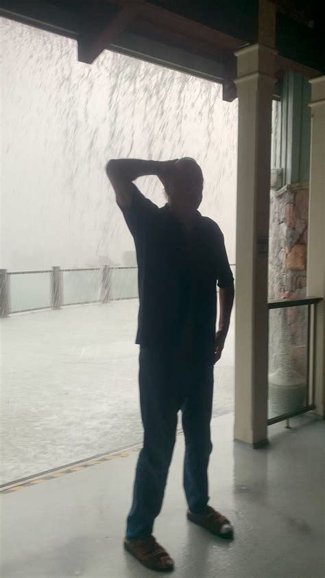 Image result for Silly Python