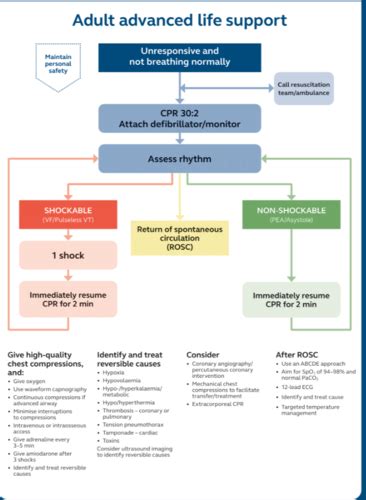 Image result for Pediatric ALS Algorithm