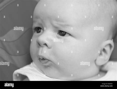 Image result for 8 Week Old Baby Development