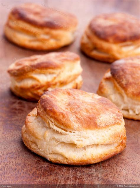 Image result for Types of Fancy Baking Powder Biscuits