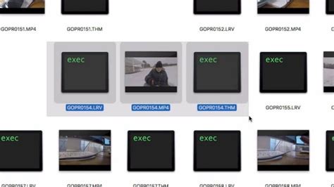 Image result for How to Tag LRV Files