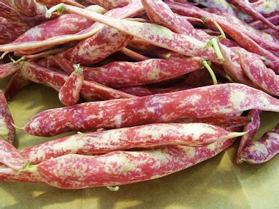 Image result for October Beans