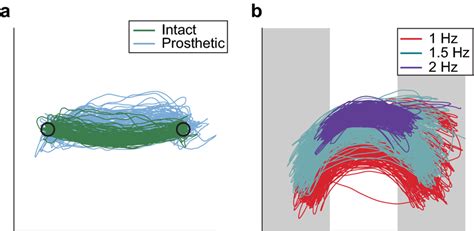 Image result for Excursion Anatomy