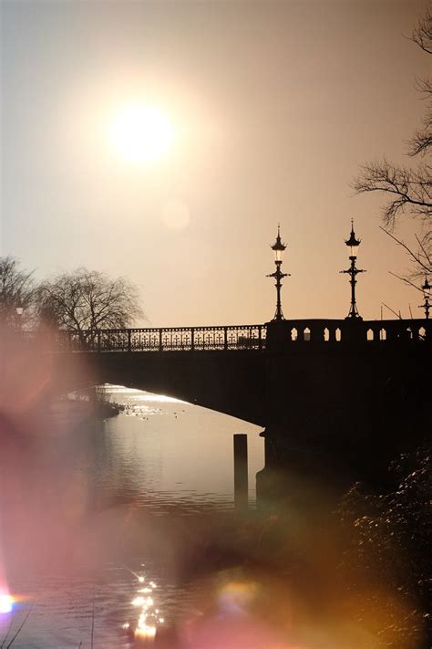 Image result for Wime Making Filter