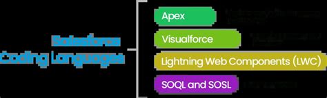 Image result for Salesforce Programming Language