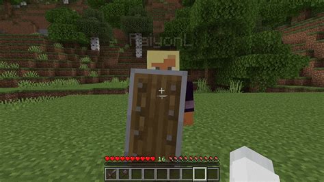 Image result for Java Hit Animation for Mcpe