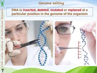 Image result for Crisper Editing Technology