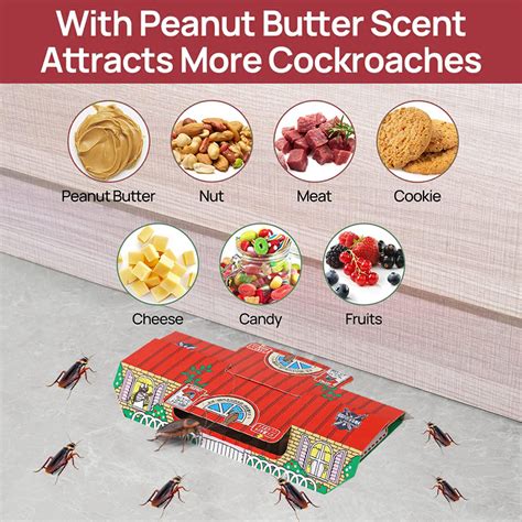 Image result for Cockroach Lizard Trap