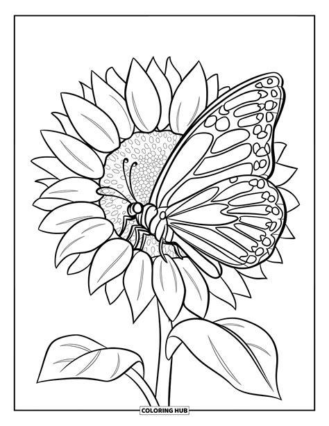 Image result for Shutterfly Coloring Pages