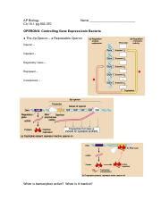 Image result for Operon Theory