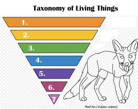Image result for Life Classification