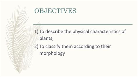 Image result for Morphological Classification System