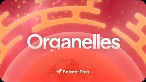 Image result for Dat Prep Course Booster