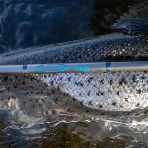 Image result for Vision Fly Rod Which One