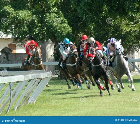 Image result for Course de Chevaux en Direct