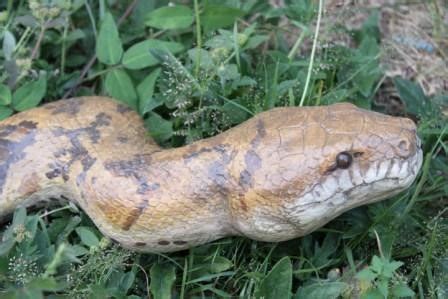 Image result for Learn Python Jr Mathmatics