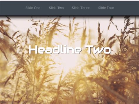 Image result for Horizontal Slider Web Design