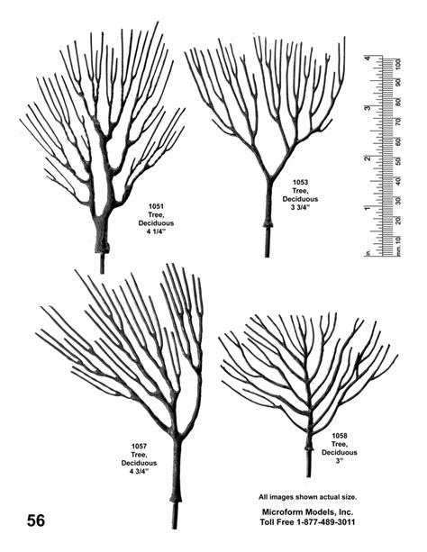 Image result for Modeling Scale Fir Trees