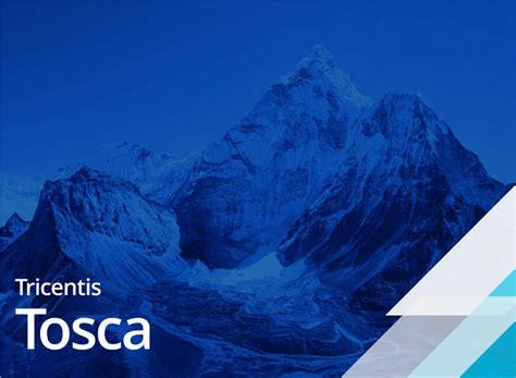 Image result for SAP Testing Using Tosca