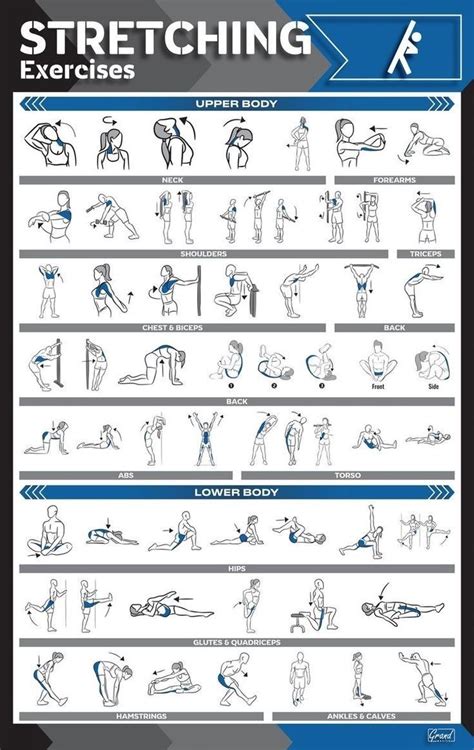 Image result for Stretching Exercise Chart