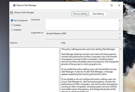 Image result for Task Manager Window Double