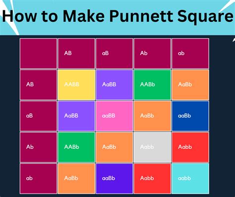 Image result for Punnett Square Tutorial