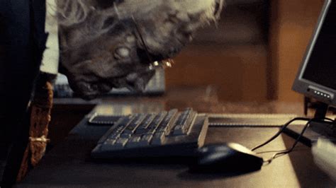 Image result for Angry Computer GIF