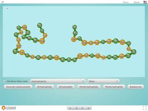 Image result for Protein Folding Simulation