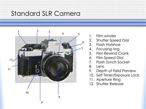 Image result for Slr.camera Tutorial